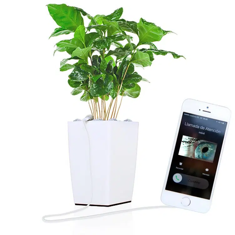 Bioo Lite: Carga tu smartphone con una planta - Movilonia.com