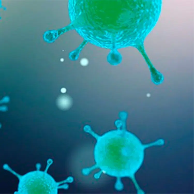 Loapi, el virus para móviles que toca los iones - Movilonia.com